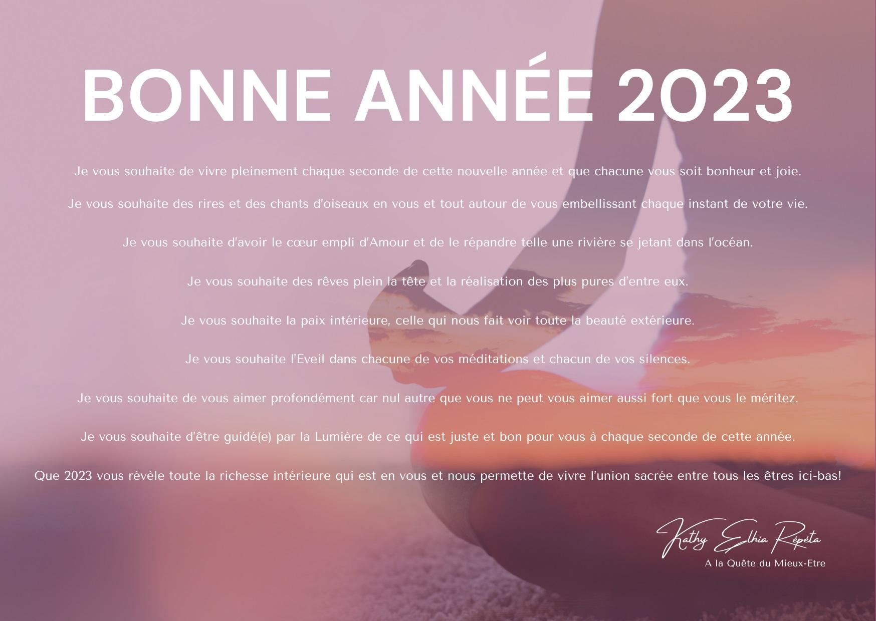 Voeux 2023 Voeux 2023